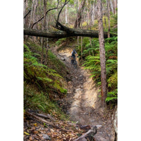 Silverback Slider MS Full Suspension Mountain Bike Rainbow Silver – 99 ...