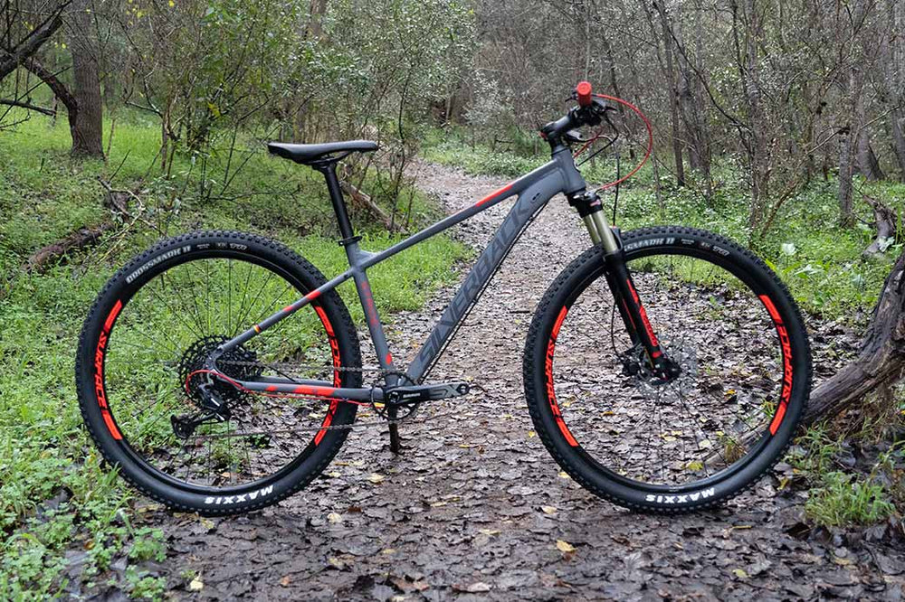 All New Silverback Bikes Now Available At 99 Bikes