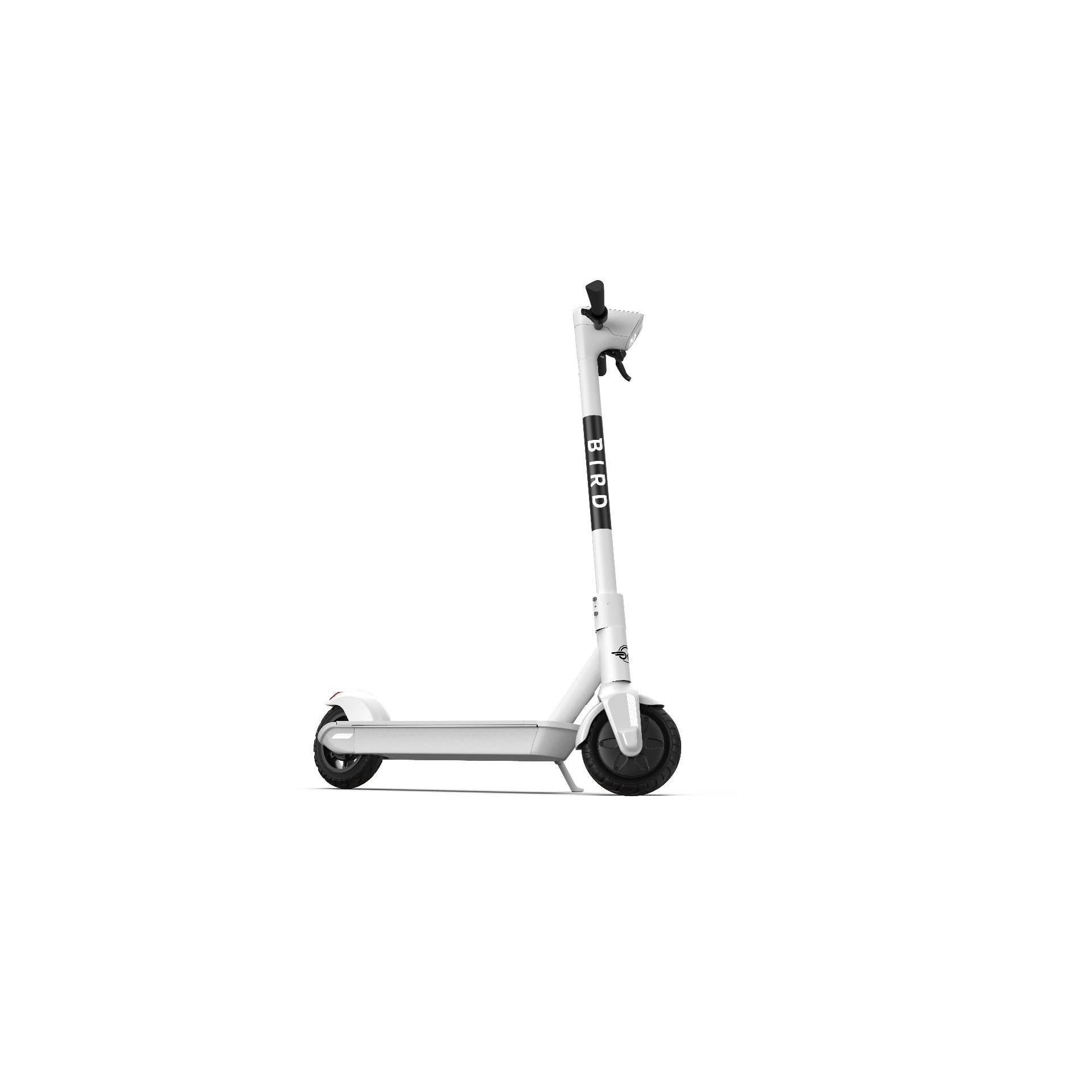 Bird One Electric Scooter Dove White – 99 Bikes