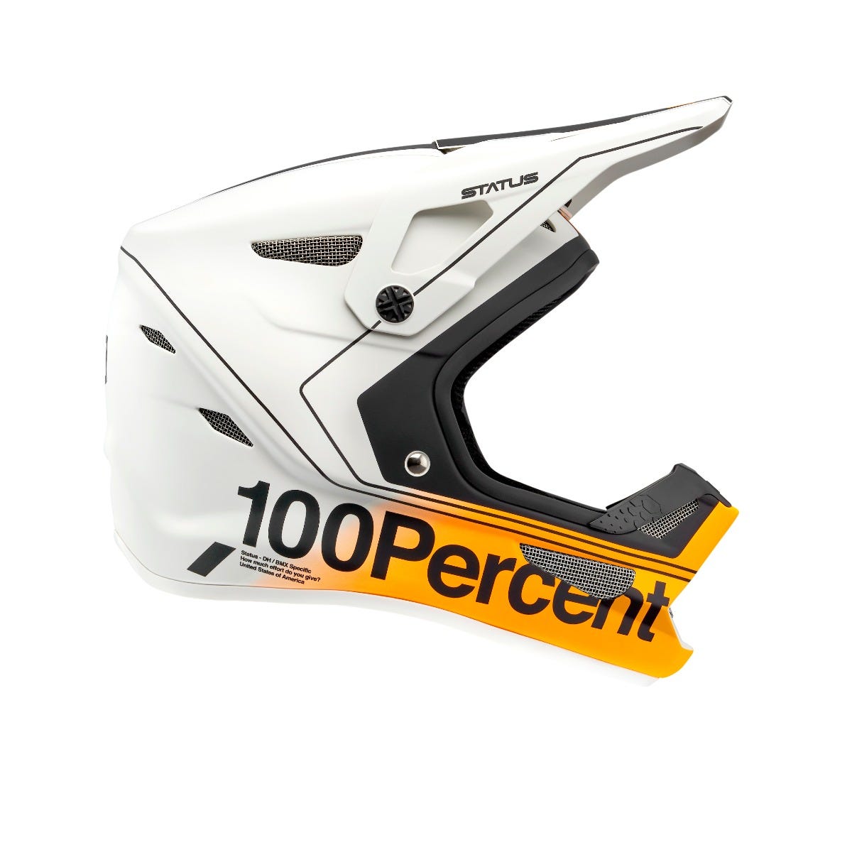 100% Status Full Face Youth Helmet Carby/Silver – 99 Bikes